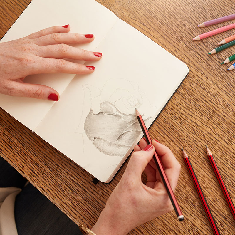 DRAWING BASICS II WORKING WITH COLOR - Kalamazoo Institute of Arts