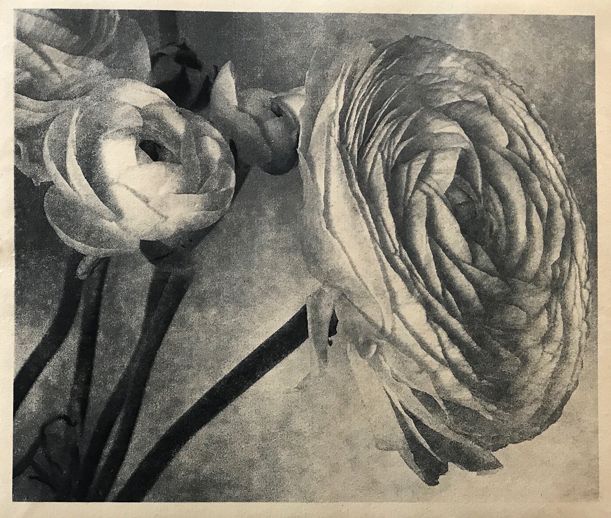 Photography & Digital Media | Kalamazoo Institute of Arts